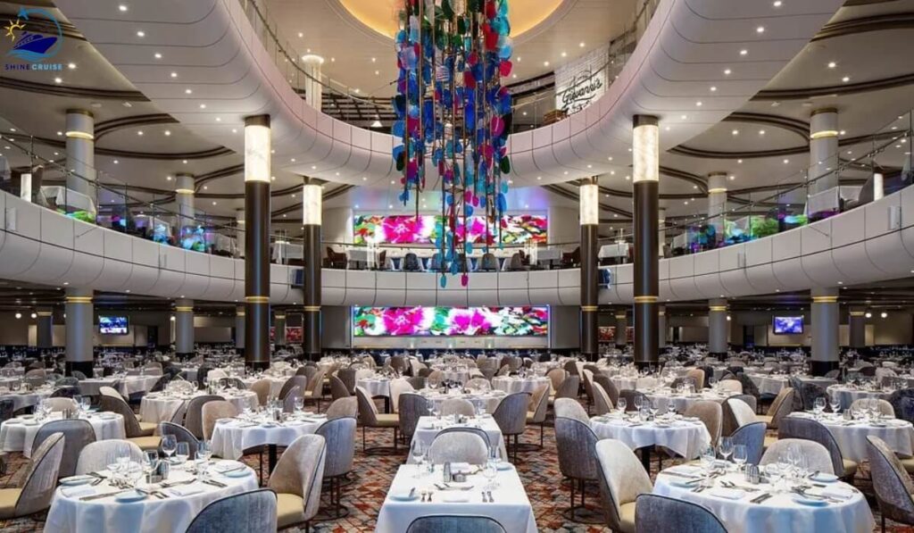 What are Royal Caribbean Gratuities? All You Need to Know!