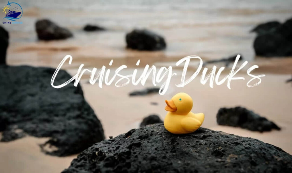 Cruise Ducks: Hiding Ducks on a Cruise Ship 2024