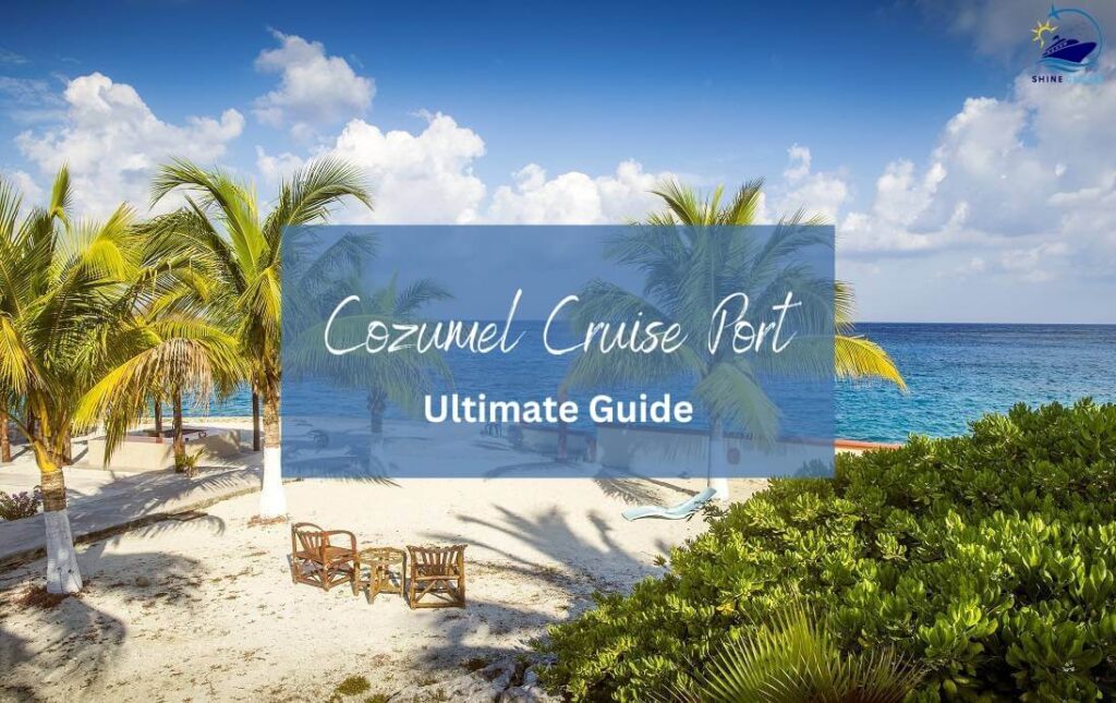 30 Best Things to Do in Cozumel Cruise Port in 2026