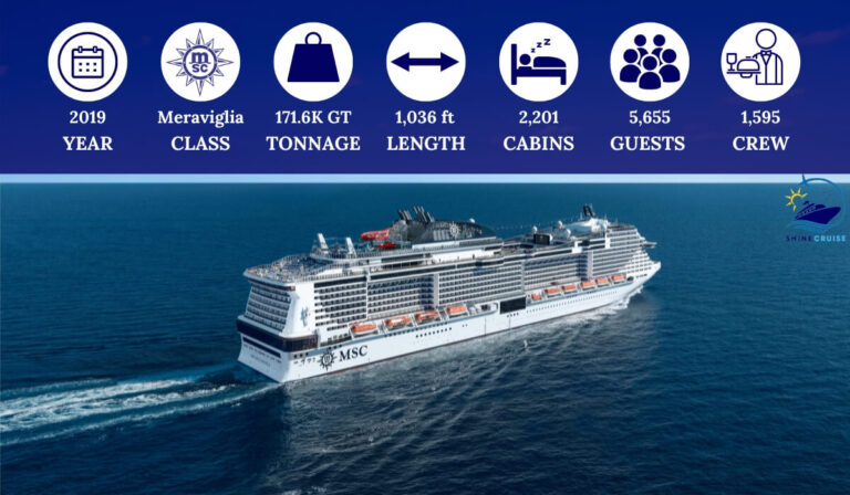 MSC Ships by Age Newest to Oldest 2025 with Class & Year