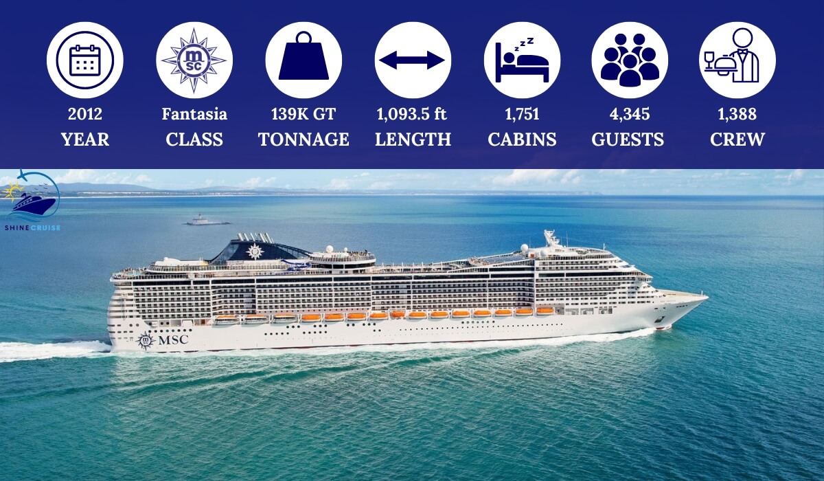 MSC Ships by Age Newest to Oldest 2025 with Class & Year
