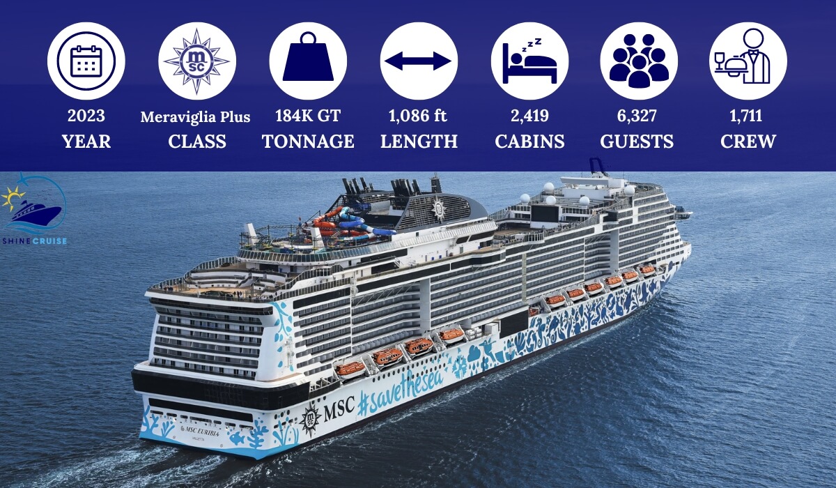 MSC Ships by Age Newest to Oldest 2025 with Class & Year