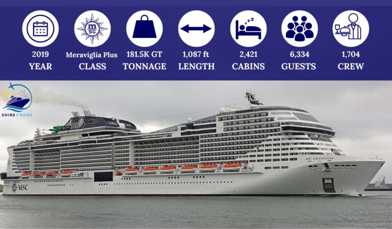 MSC Ships by Age Newest to Oldest 2025 with Class & Year