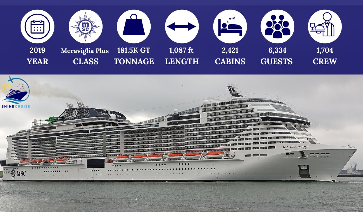 MSC Ships by Age Newest to Oldest 2025 with Class & Year