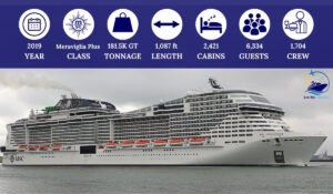 MSC Ships by Size Biggest to Smallest 2026 with Class & Year