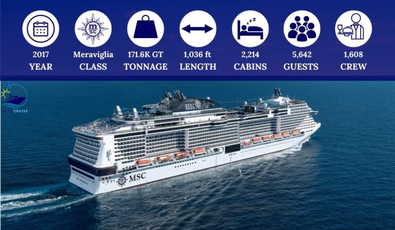 MSC Ships by Size Biggest to Smallest 2026 with Class & Year