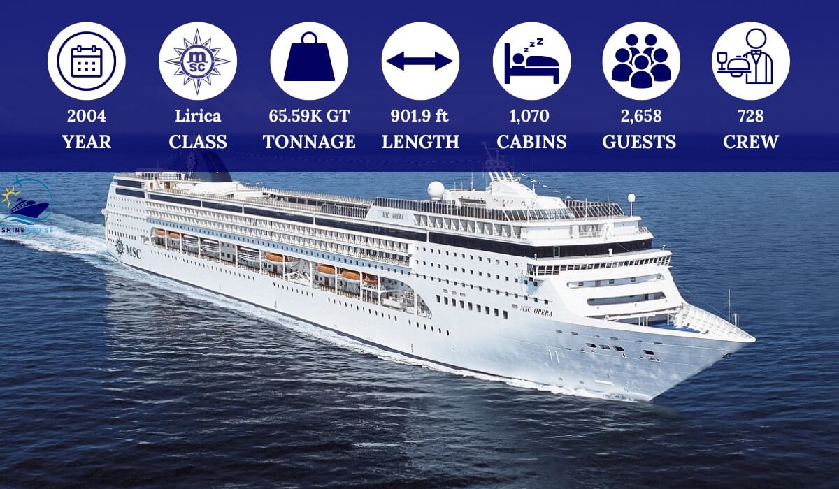MSC Ships by Age Newest to Oldest 2025 with Class & Year