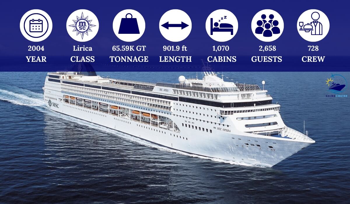 MSC Ships by Size Biggest to Smallest 2025 with Class