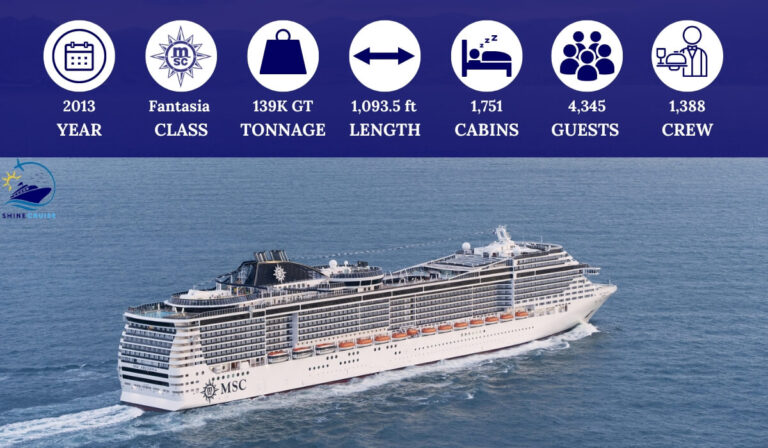 MSC Ships by Age Newest to Oldest 2025 with Class & Year