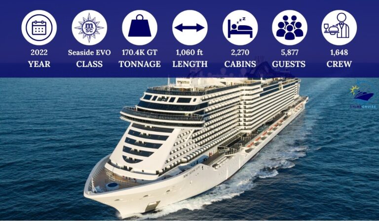 MSC Ships by Age Newest to Oldest 2025 with Class & Year