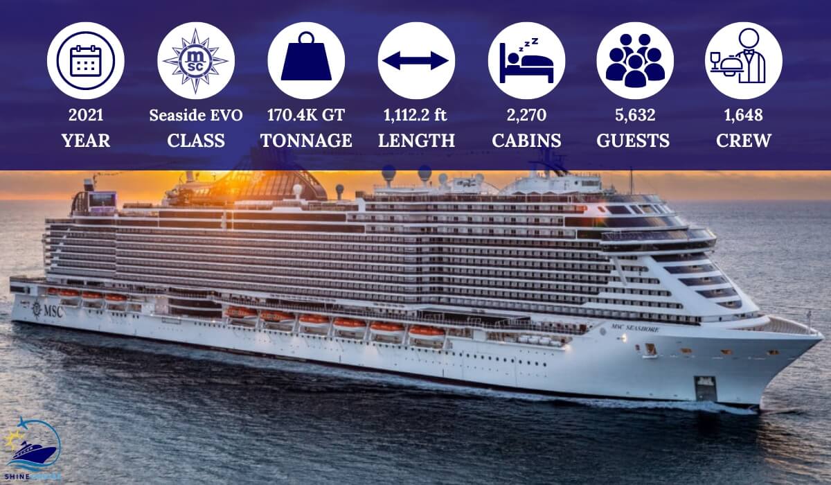 MSC Ships by Age Newest to Oldest 2025 with Class & Year