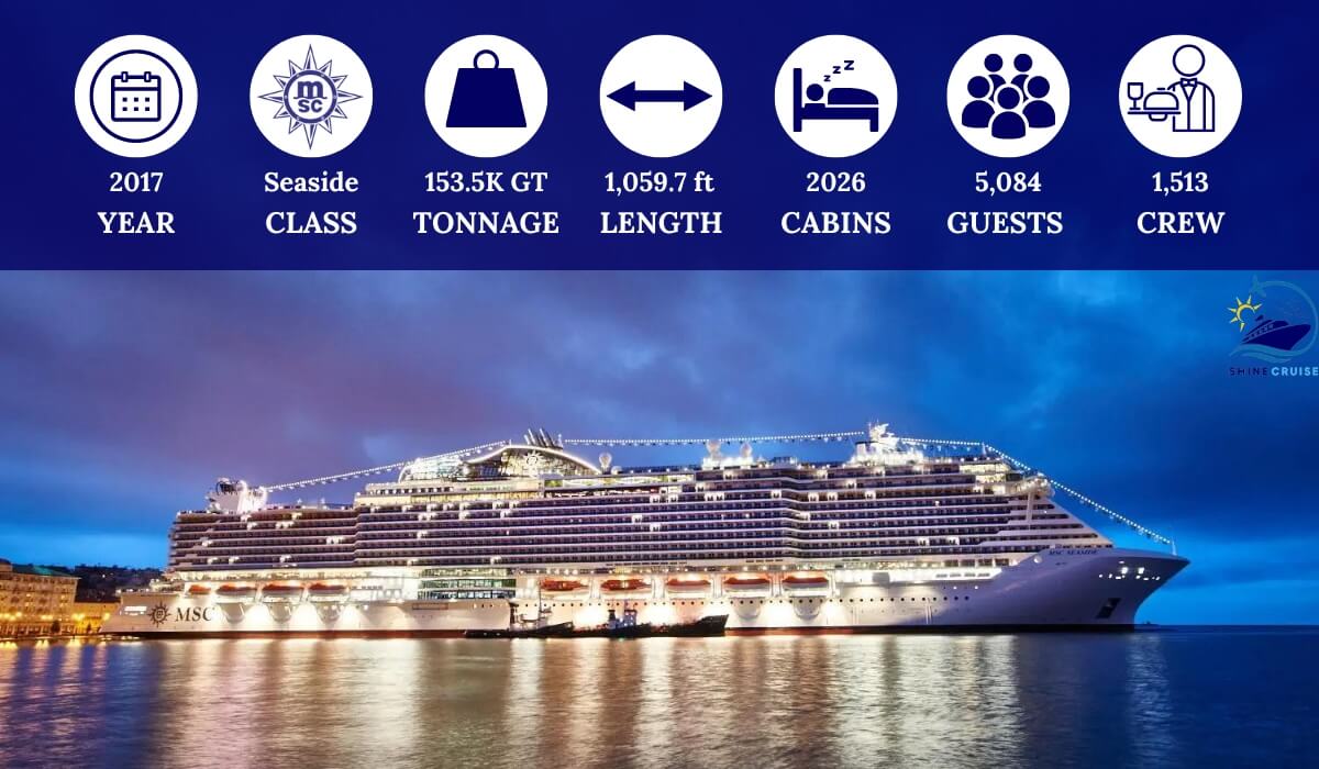 MSC Ships by Age Newest to Oldest 2025 with Class & Year