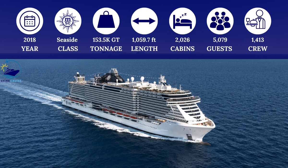 MSC Ships by Age Newest to Oldest 2025 with Class & Year