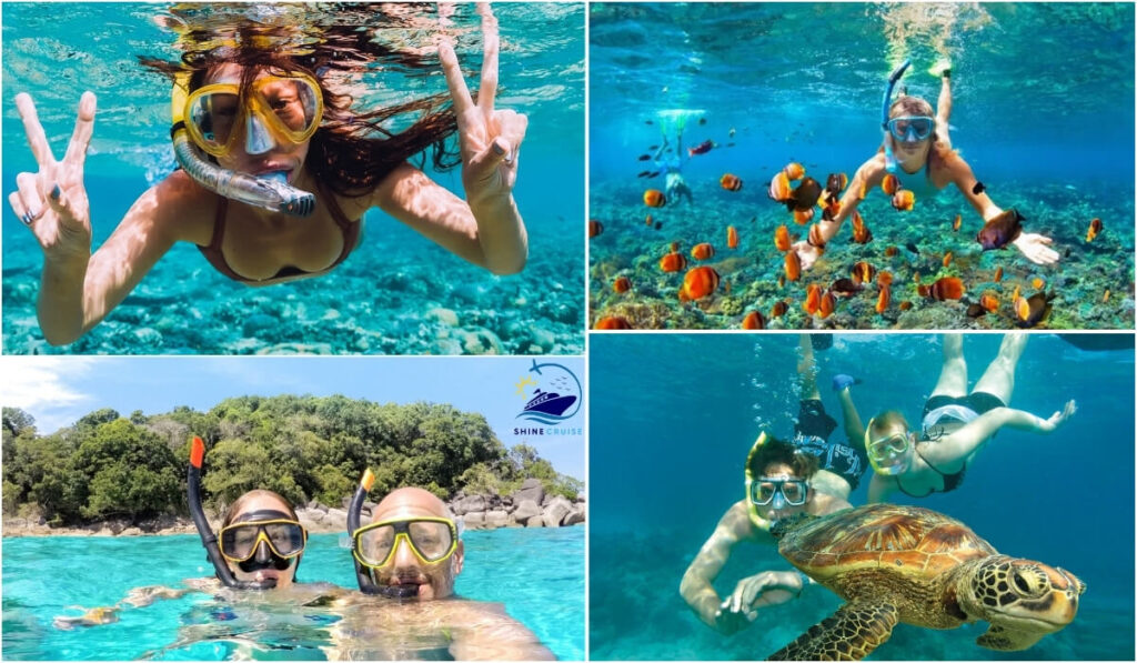 15 Best Things to do in Princess Cays Bahamas in 2026