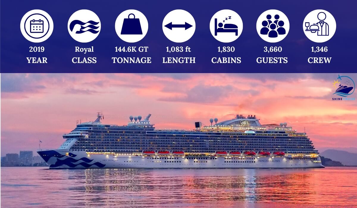 List of Princess Cruise Ships by Age 2026 Newest to Oldest