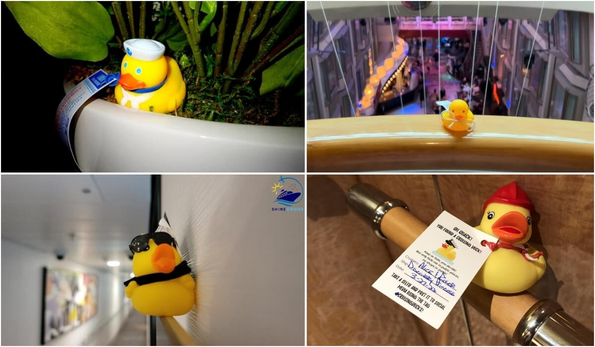 Cruise Ducks: Tips for Hiding Ducks on a Cruise Ship in 2025