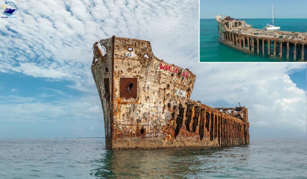 What to Do in Bimini Cruise Port for a Day – Ultimate Guide