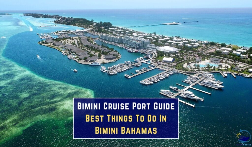 What to Do in Bimini Cruise Port for a Day – Ultimate Guide