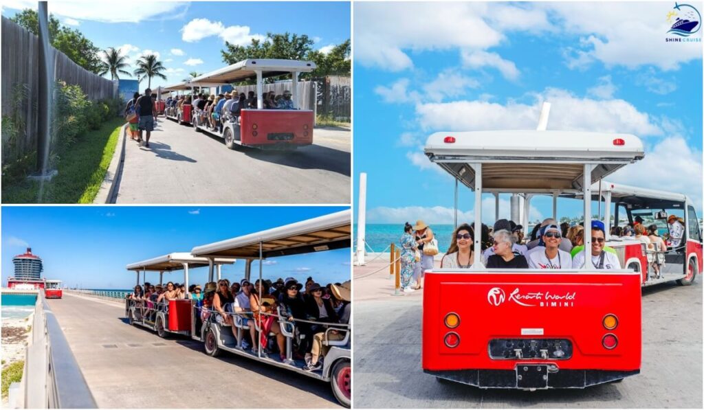 What to Do in Bimini Cruise Port for a Day – Ultimate Guide