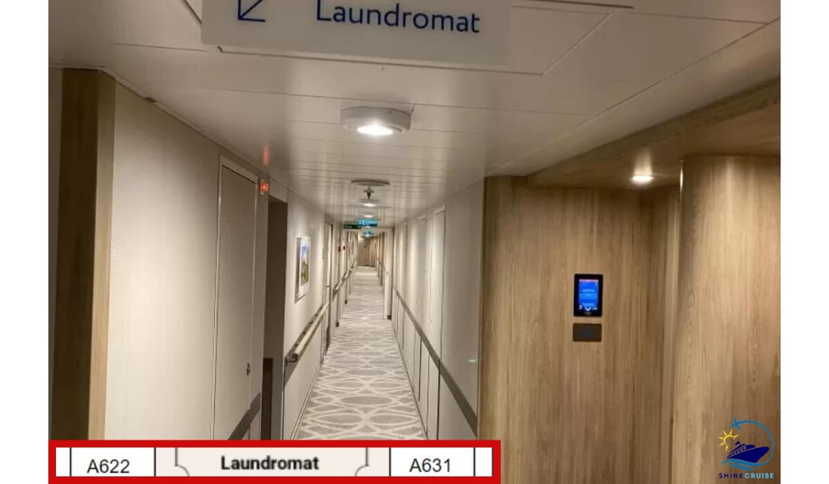 Enchanted Princess Cabins to Avoid 2025: Choose Best Cabin