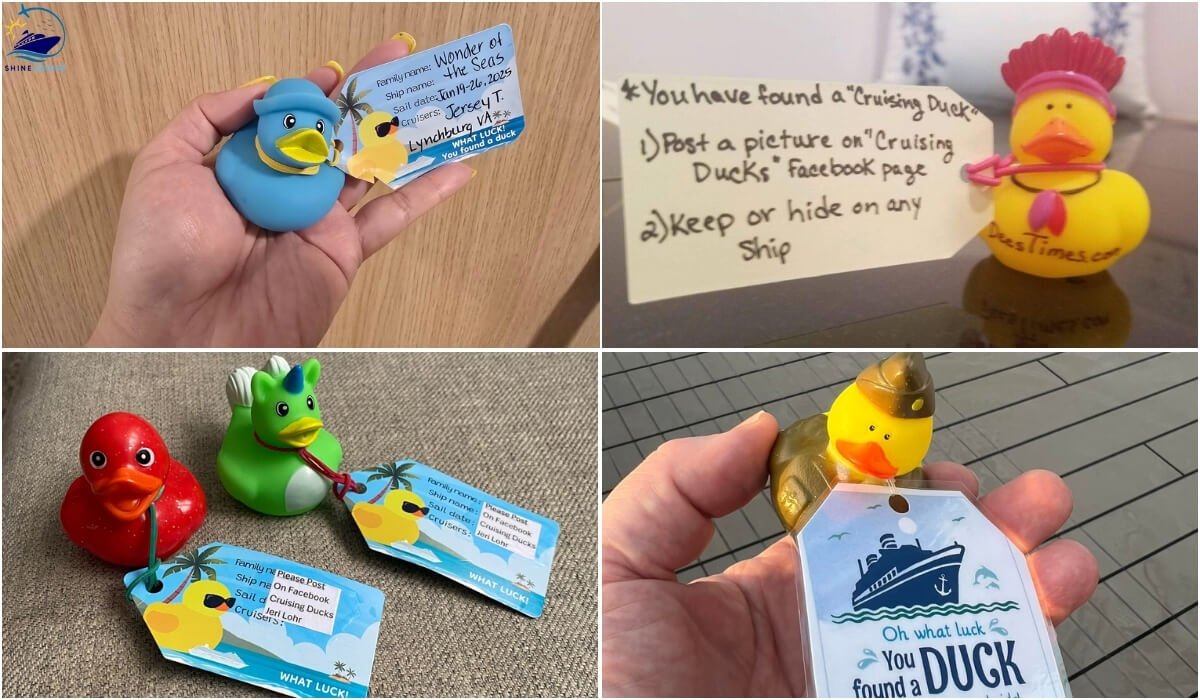 Cruise Ducks: Tips for Hiding Ducks on a Cruise Ship in 2025