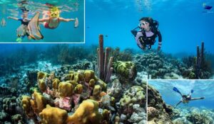 What to Do in Bimini Cruise Port for a Day – Ultimate Guide