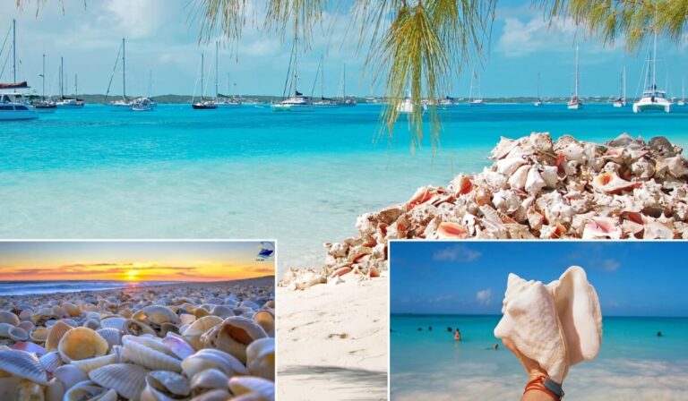 13 Best Bimini Beaches Near Cruise Port You Must Visit!