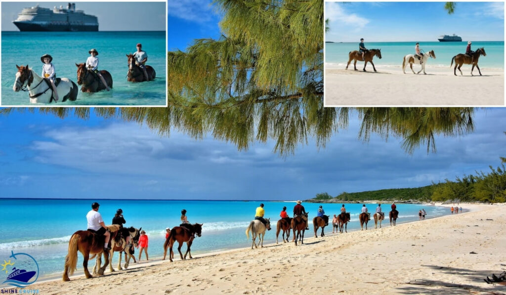 20+ Best Things To Do in Half Moon Cay Bahamas in 2026