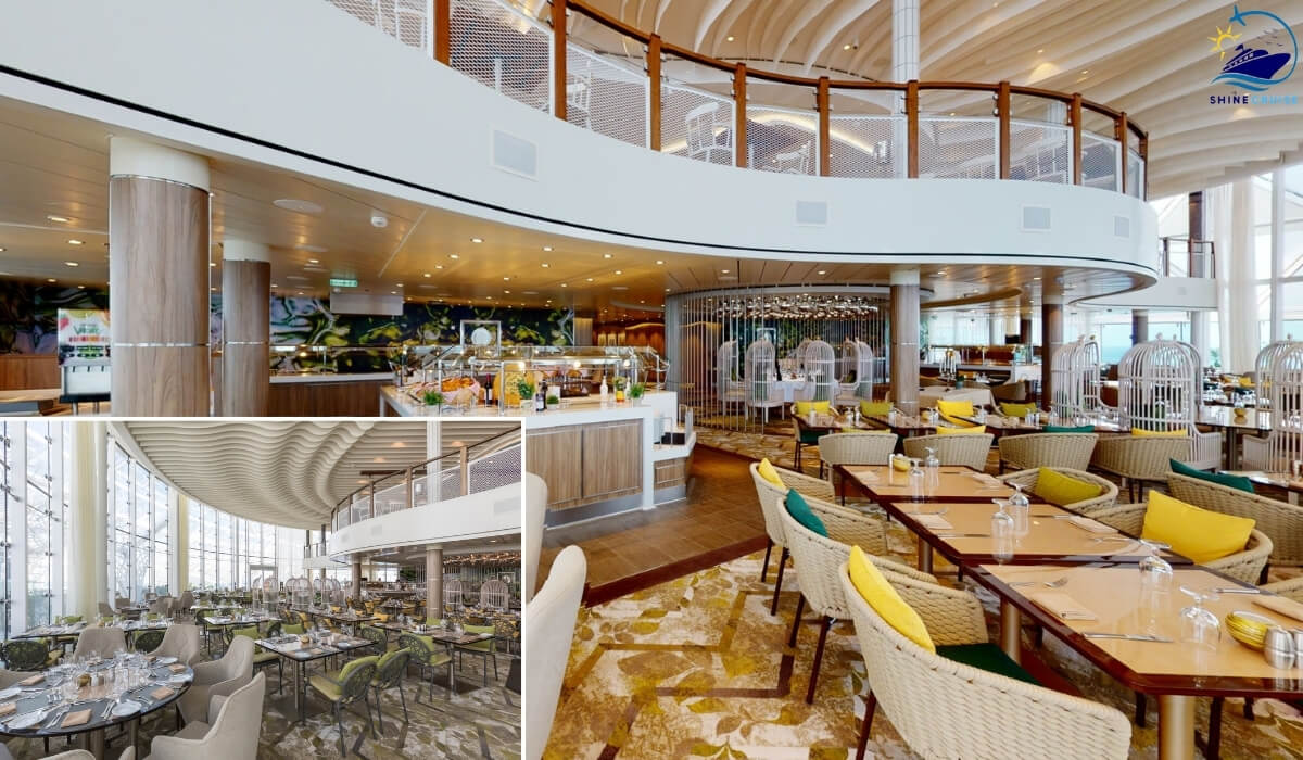 Royal Caribbean Solarium Bistro Menu 2025 with Review!