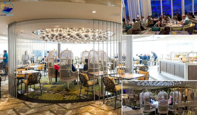Royal Caribbean Solarium Bistro Menu for 2026 with Review