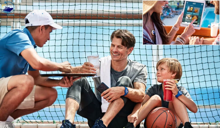 Princess Plus vs Premier Package: Save More, Cruise Better