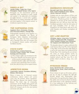 Princess Cruises Drinks Menu 2026 with Prices for all Ships