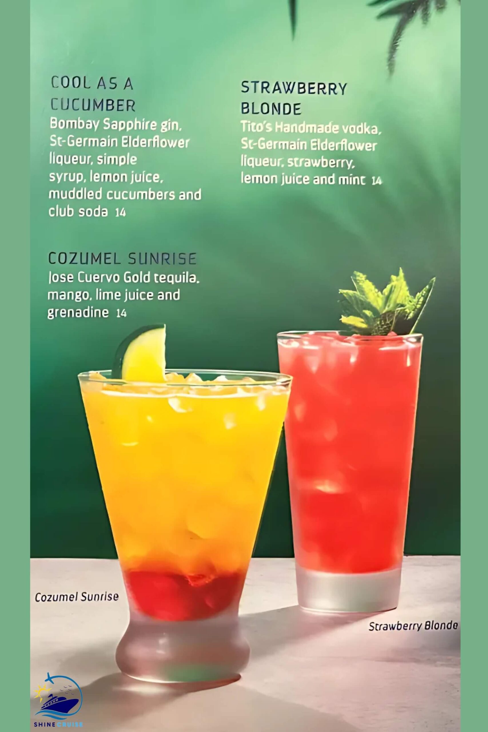 Royal Caribbean Star of the Seas Bar Menus & Drink Prices